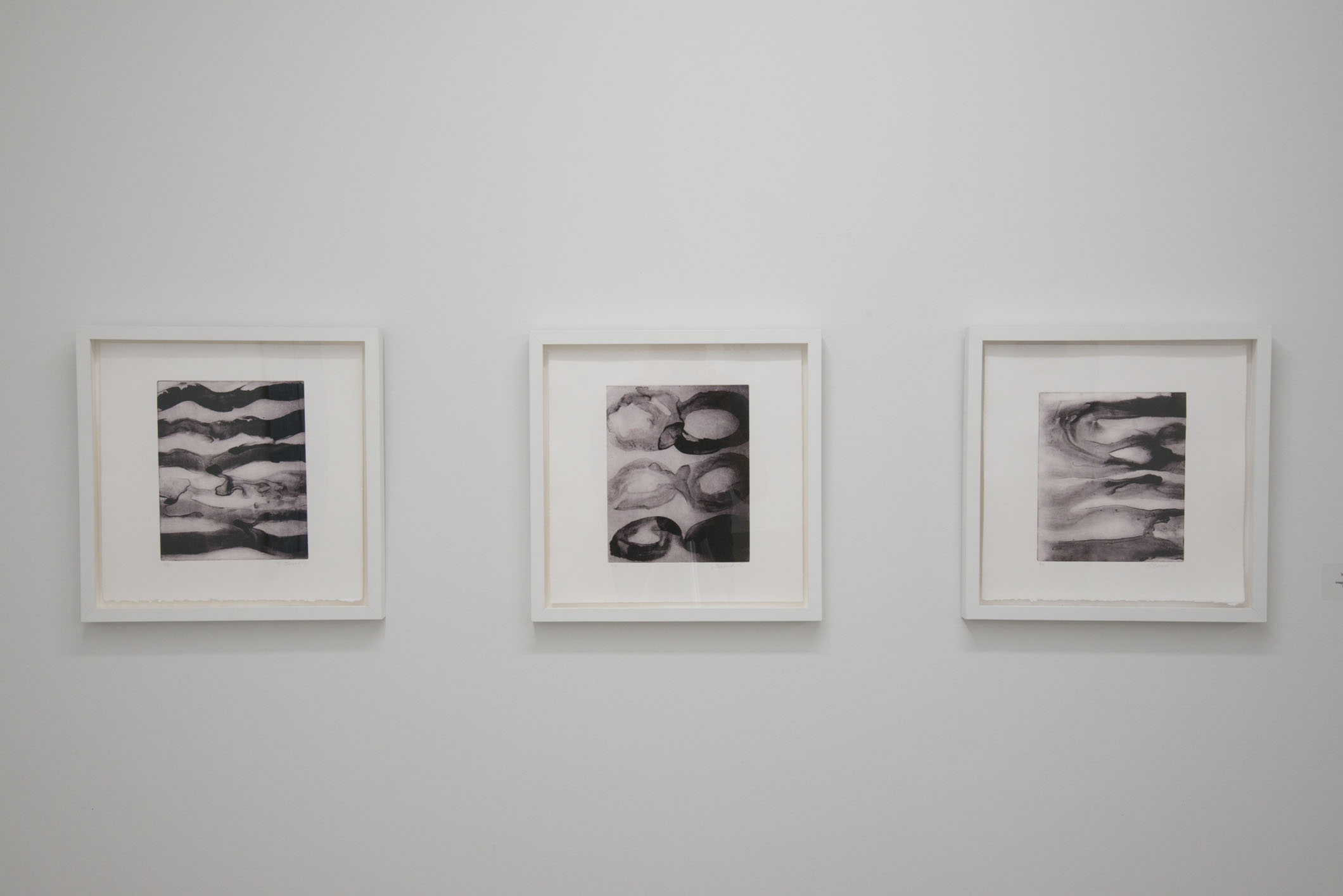 Under the Influence – Sandra Beard – Axis Gallery