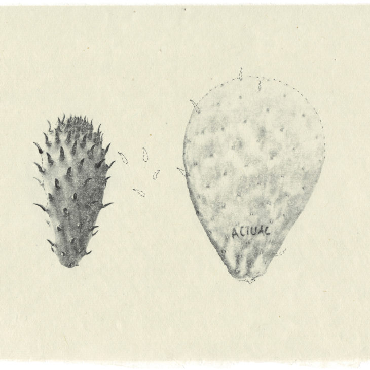 Artists – Axis Gallery