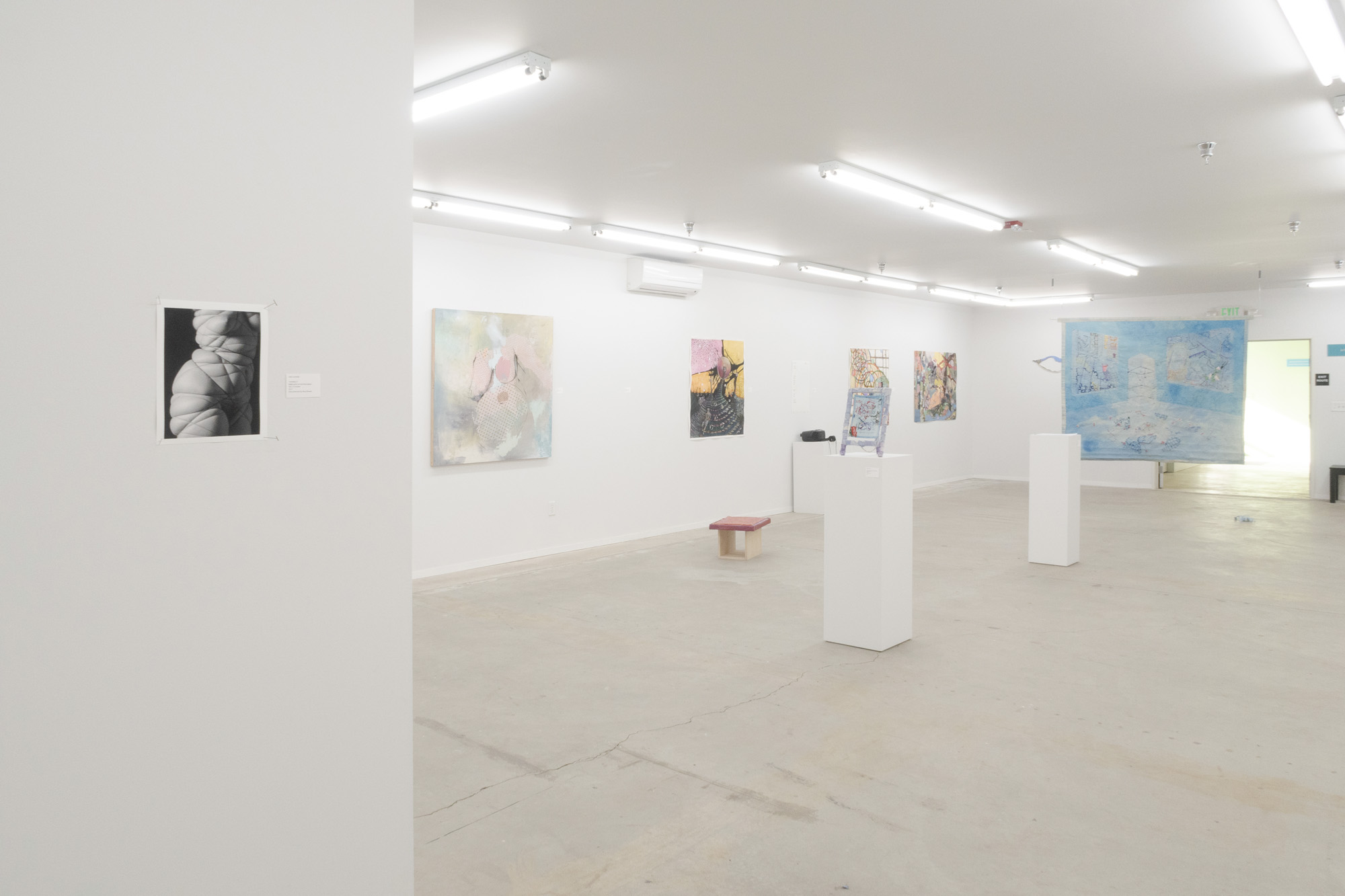 The Resistant Gesture – Curator: Tavarus Blackmon Artist: Sydney Acosta ...