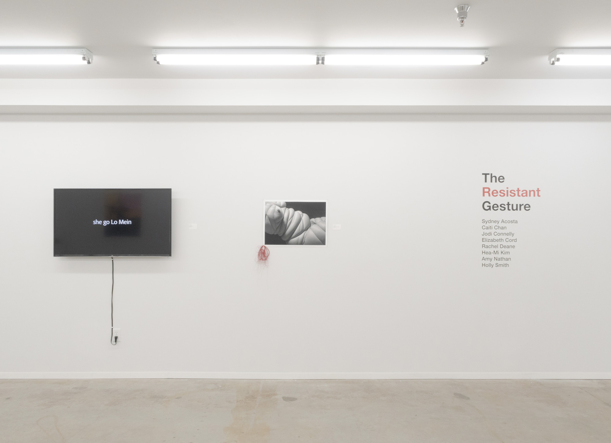 The Resistant Gesture – Curator: Tavarus Blackmon Artist: Sydney Acosta ...